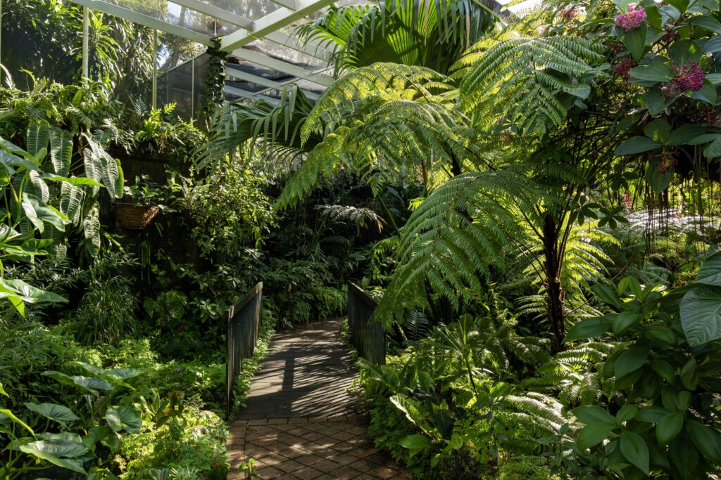 Growing capacity: Building an Evaluation Framework : Institute for ...